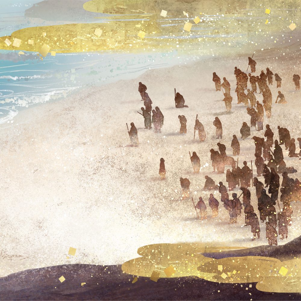 Manga Productions | Gallery